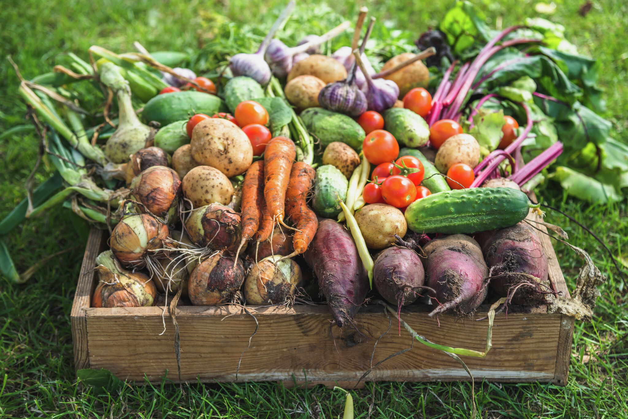 Locavore: Thanksgiving food and holiday cocktails are coming to CT