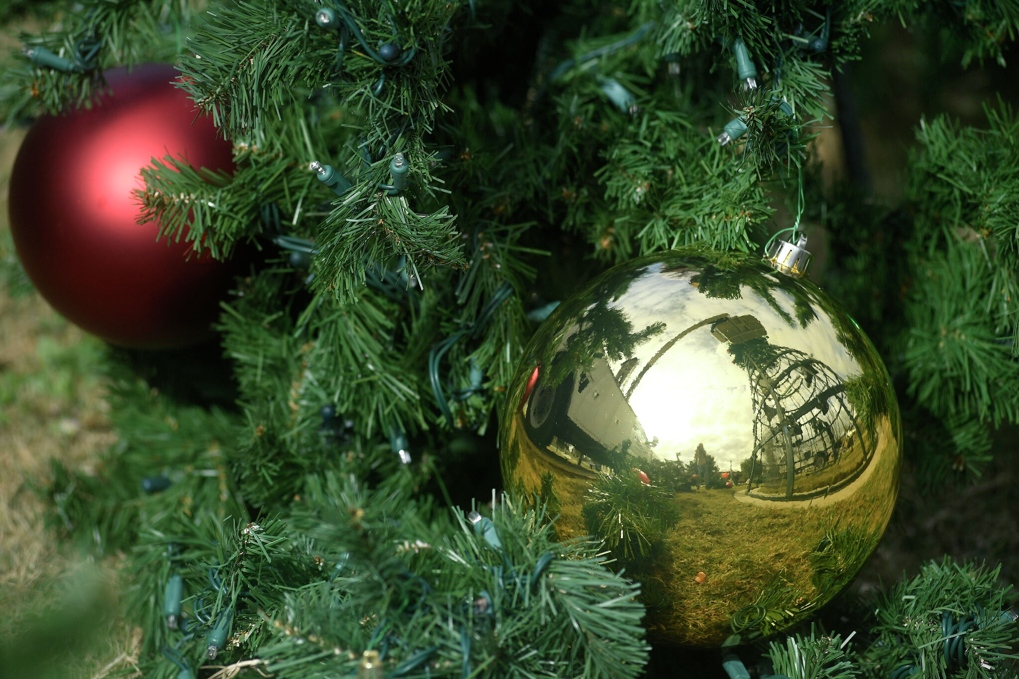 Wagler powers No. 20 Illinois past Missouri 91-48 for biggest blowout ...