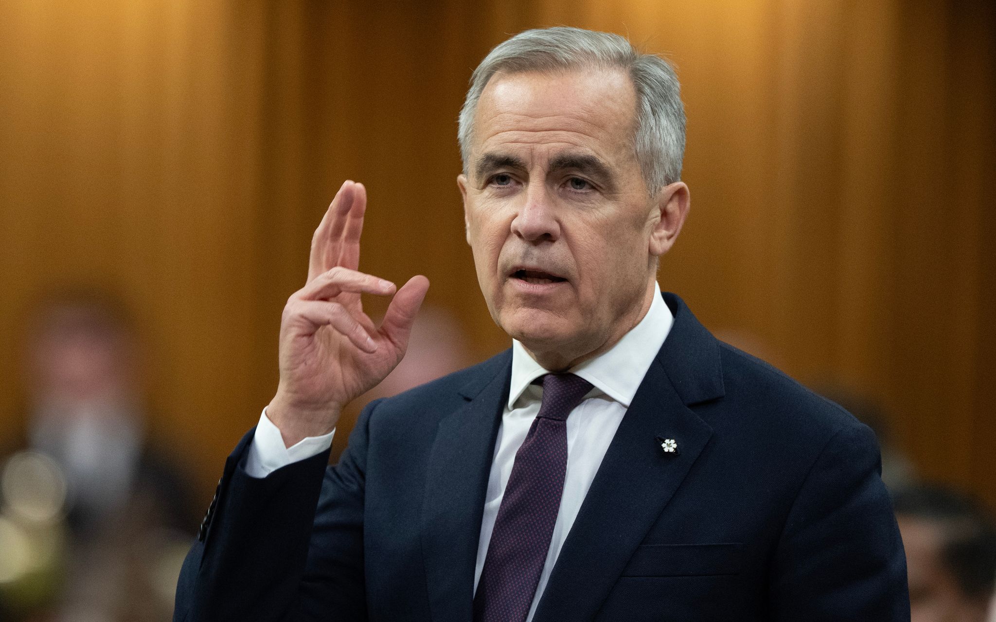 Carney's Liberals face vote on budget that if lost could trigger an ...
