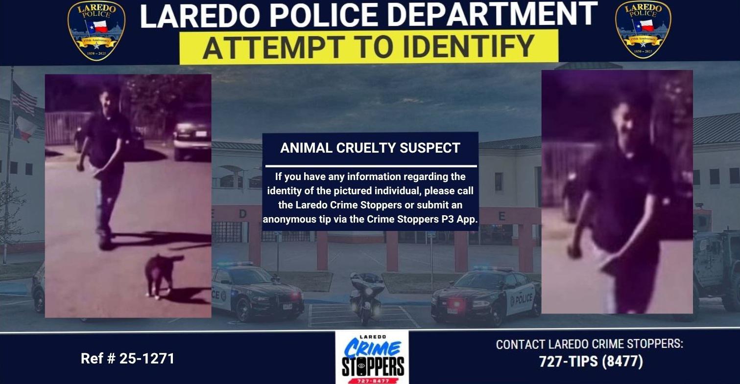 Honor Huff, DJ Thomas guide unbeaten West Virginia to 81-59 victory ...