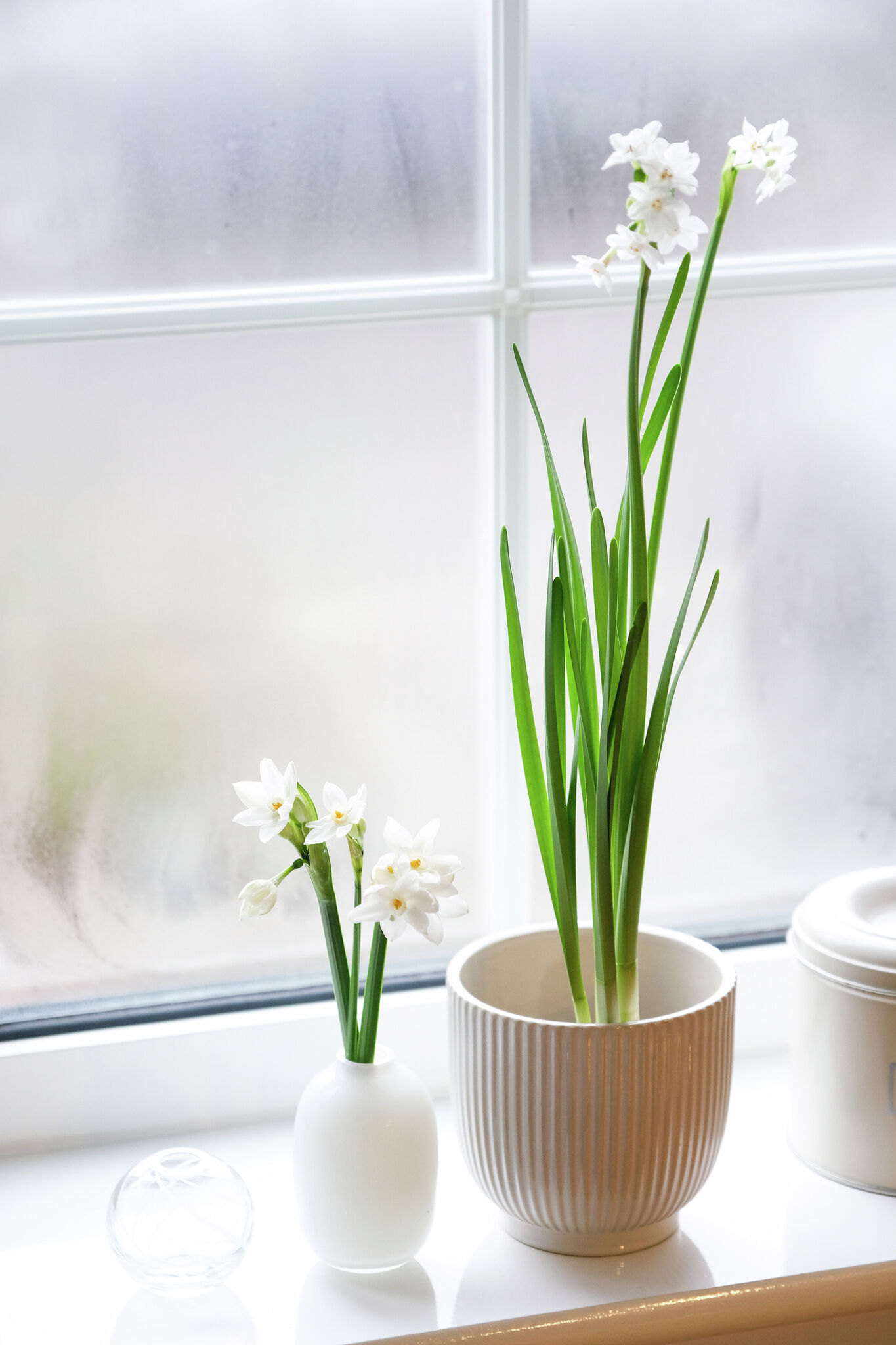 DeSimone scores go-ahead goal in 3rd and Mammoth beat slumping Rangers 3-2 to stop 4-game skid