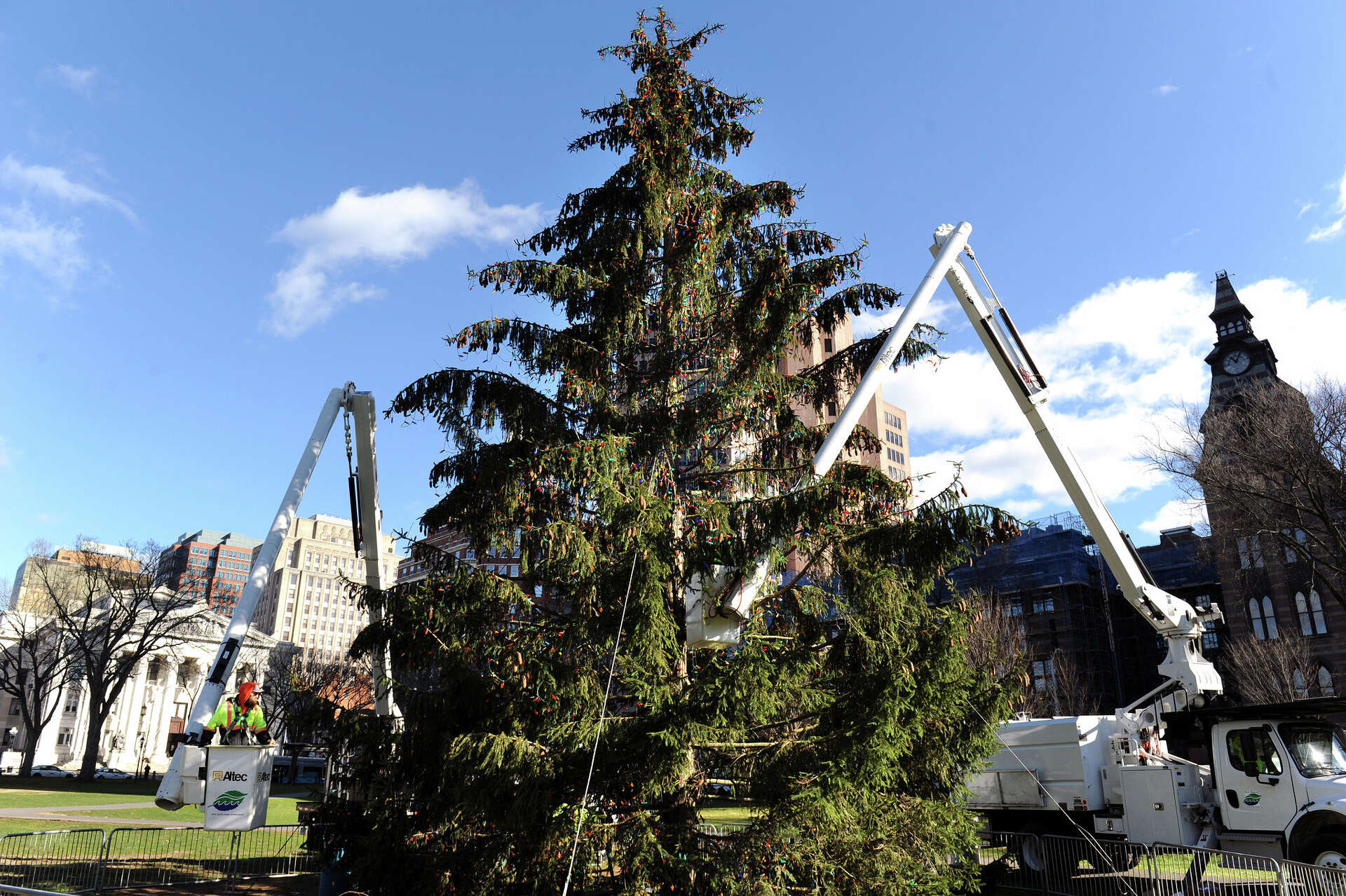 In photos: Christmas tree on New Haven Green is prepped for holidays
