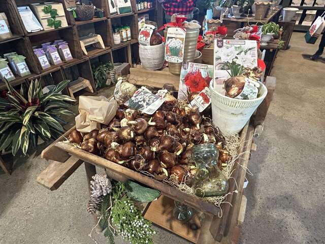 Canopy Wilton opens with greenhouse café, garden, holiday market