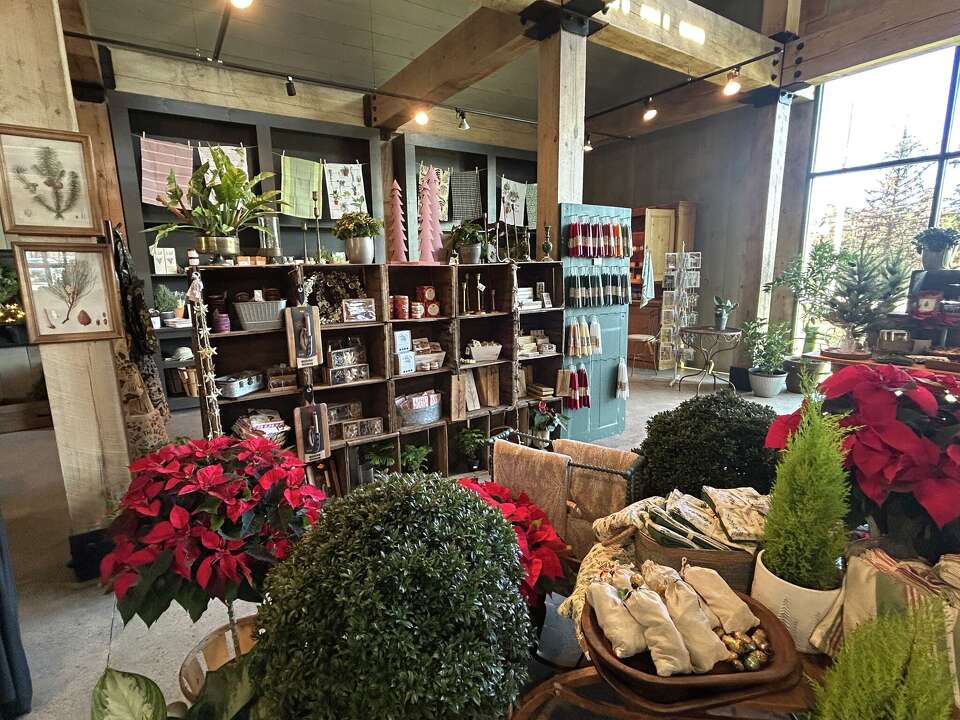 Canopy Wilton opens with greenhouse café, garden, holiday market
