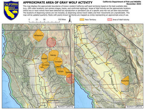 New wolves found in Calif., month after authorities kill another pack