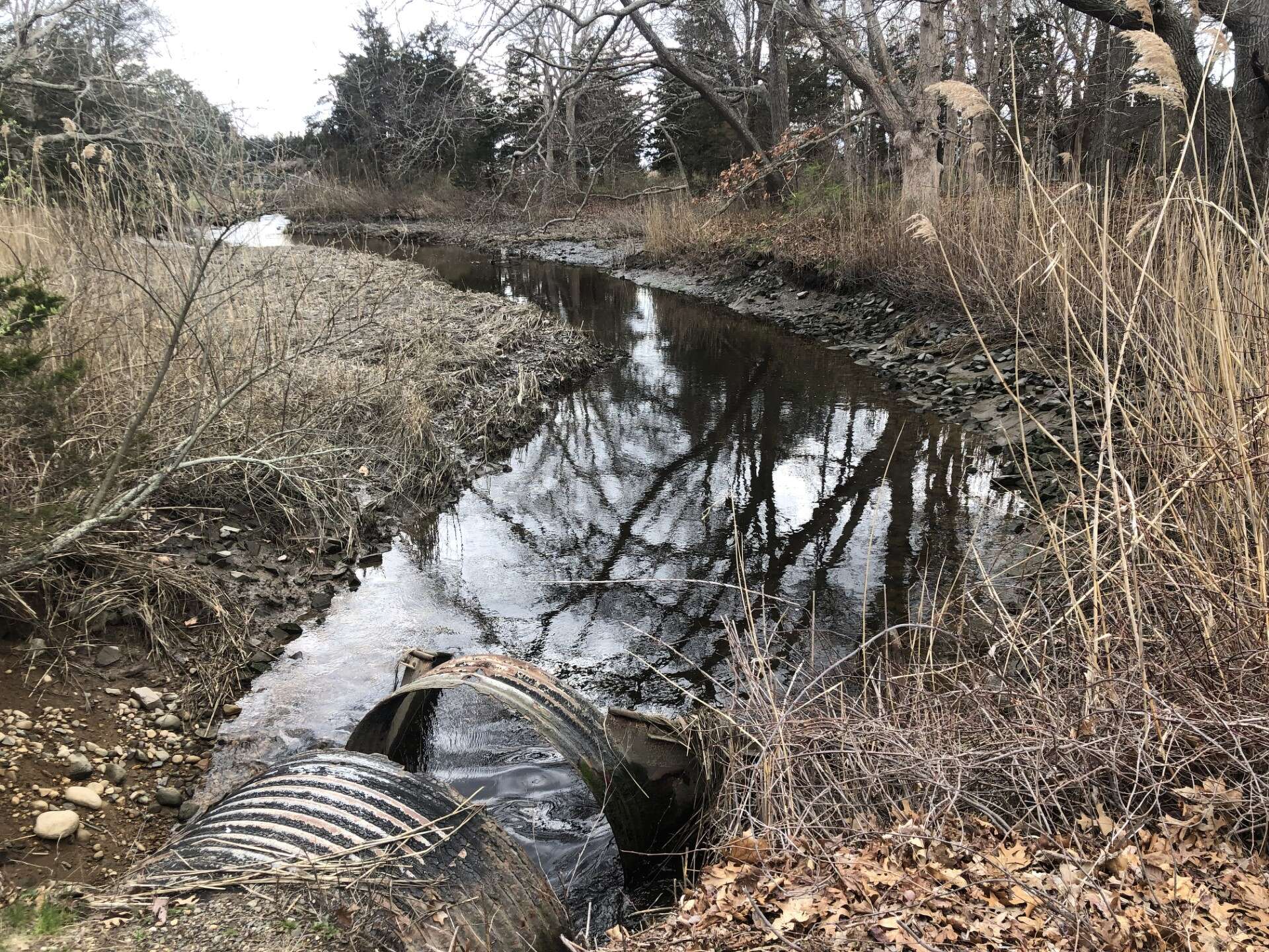 Project aims to protect CT's Hammonasset marshes from rising seas