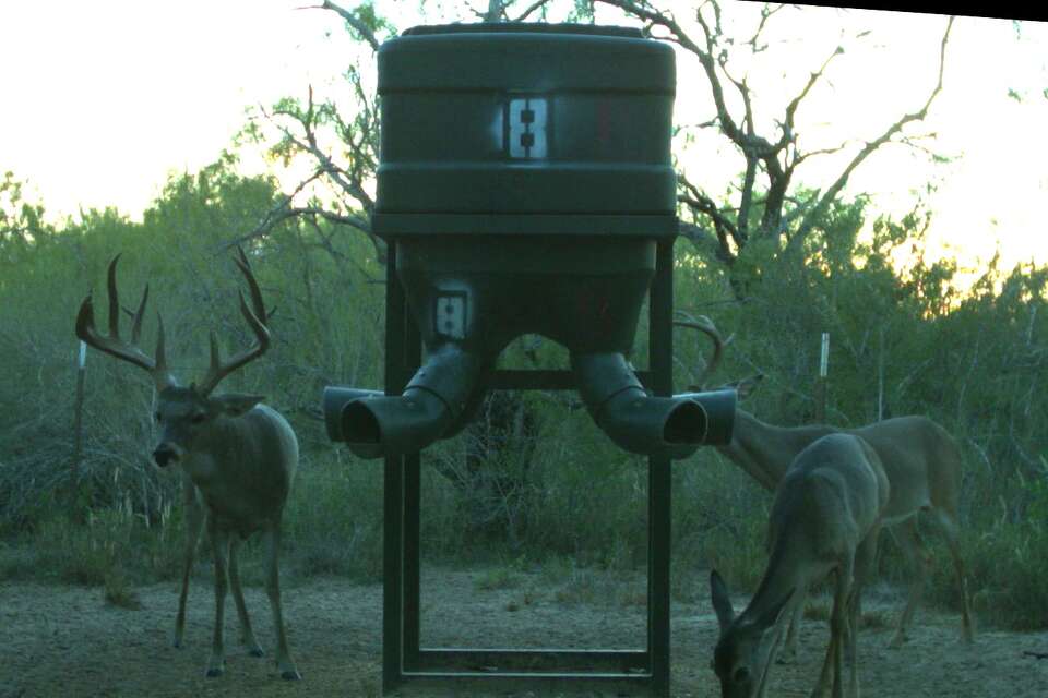 Randado Ranch hits the market at $25M after 95 years