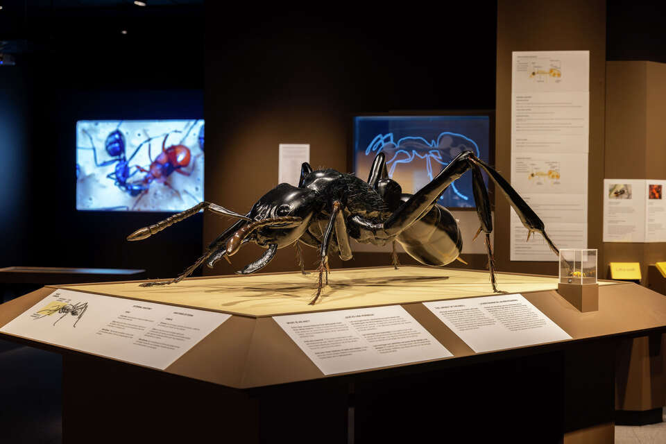 32 things to do this weekend in Connecticut