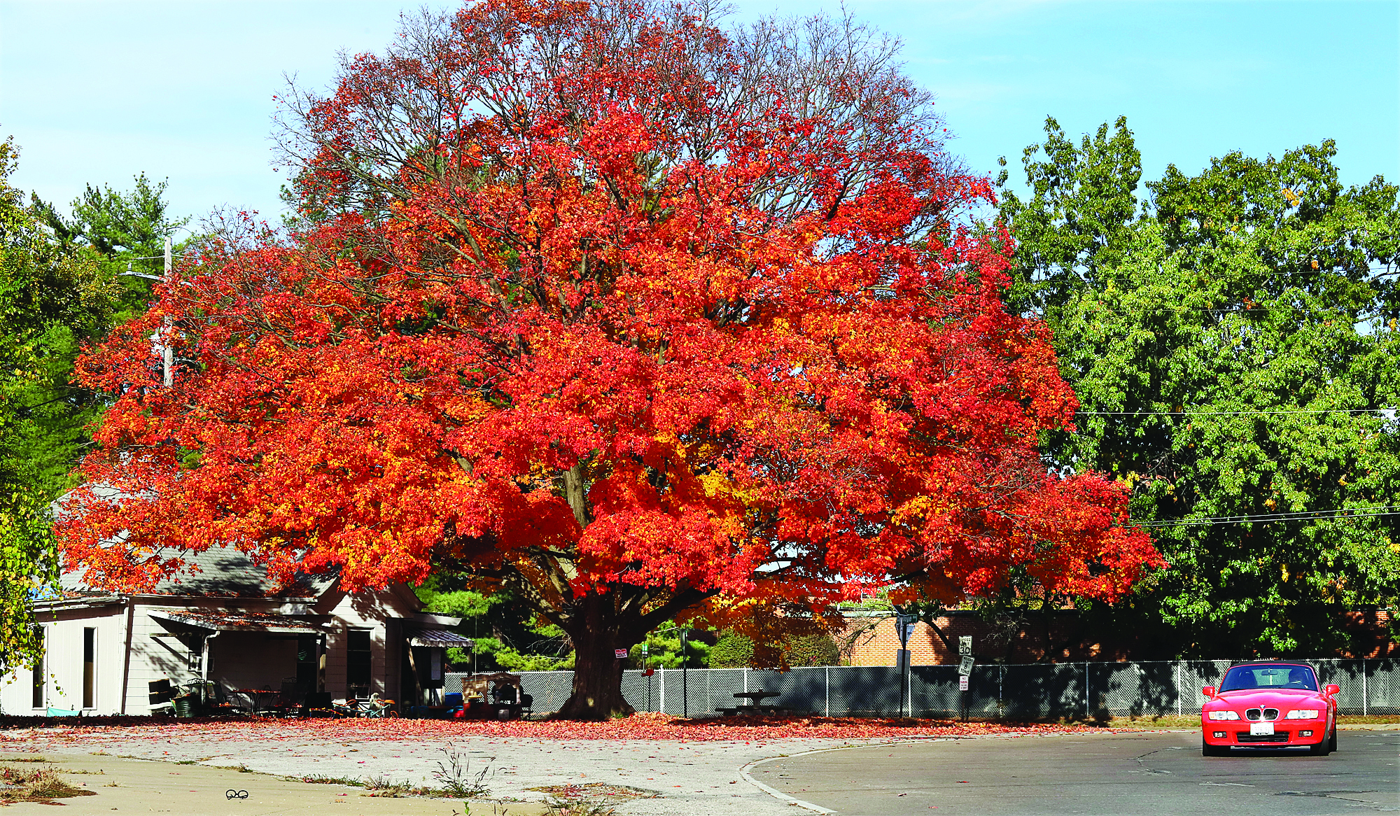 John Badman's Photos of the Week in The Telegraph