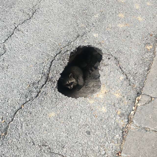 Austin crews stabilize downtown sinkhole after storm drain failure