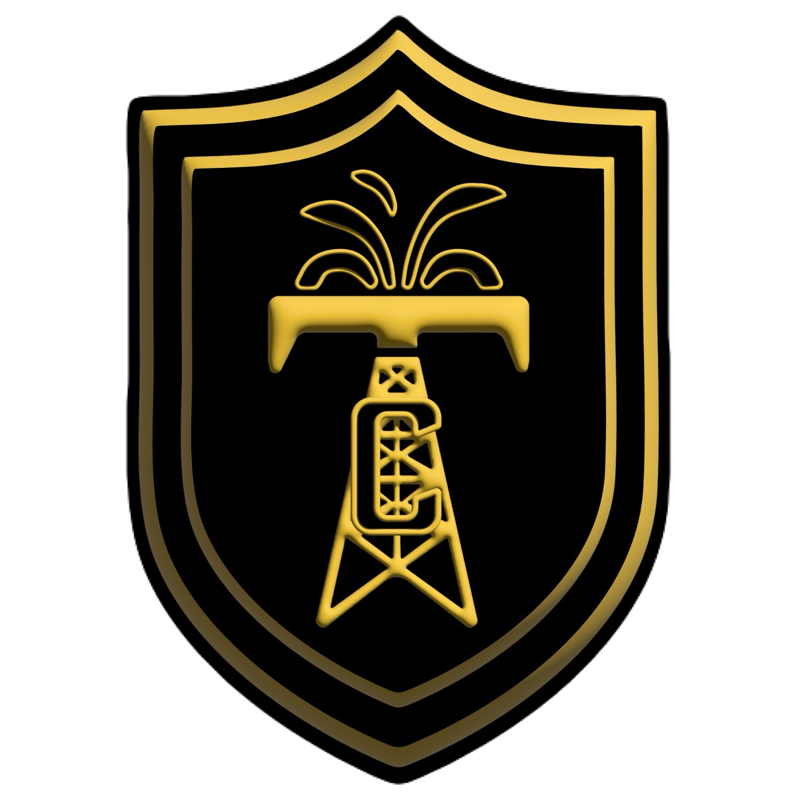 SEI: Q4 Earnings Snapshot