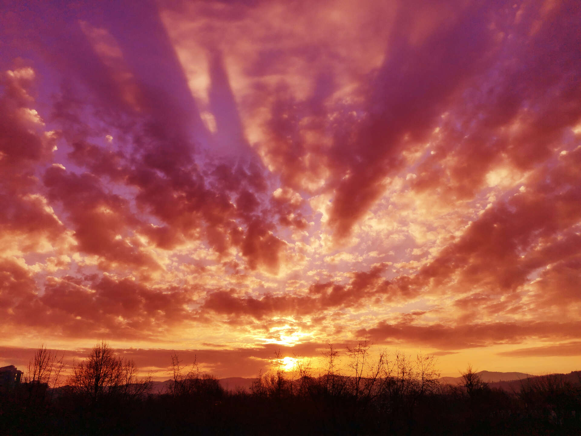 Horoscope for Wednesday, 11/26/25 by Georgia Nicols
