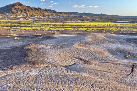 California’s next national monument could be dramatic desert landscape