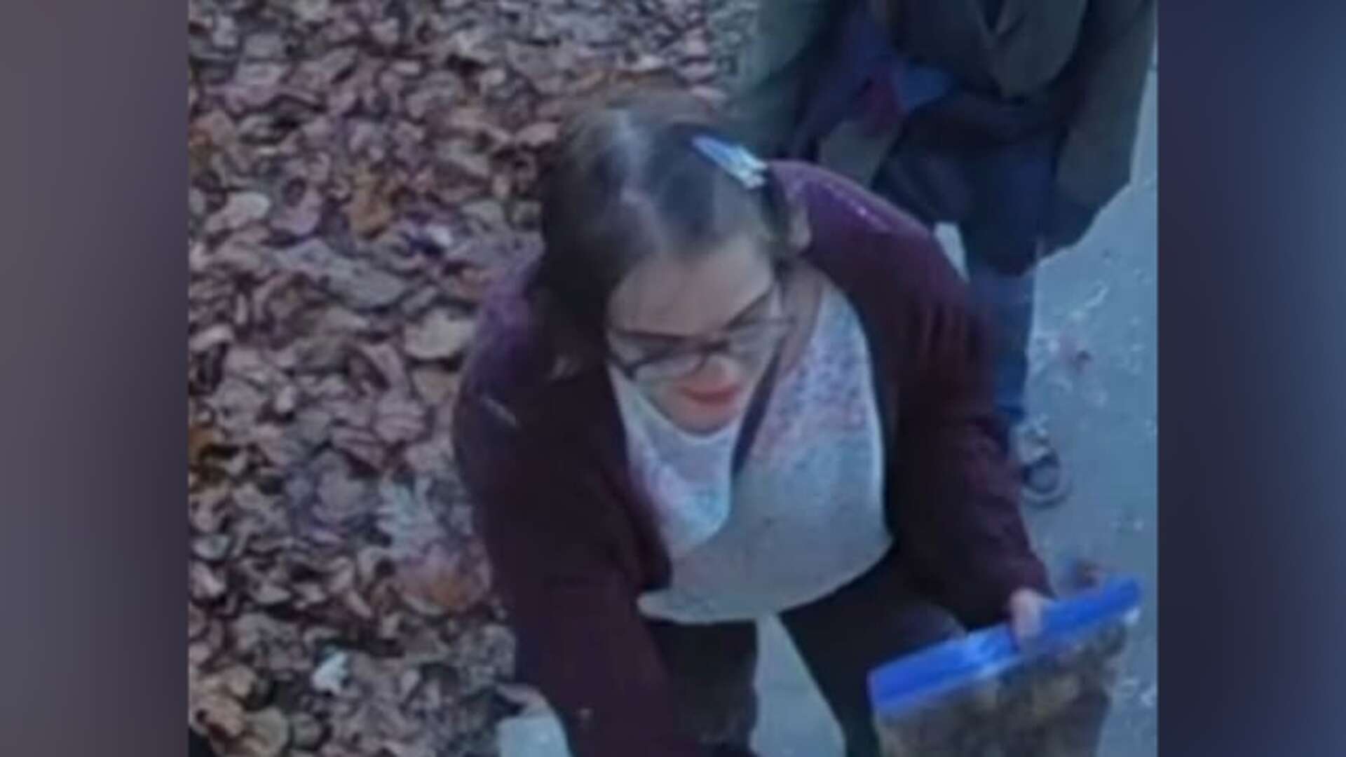 Slender Man stabbing attacker found in Illinois after escape from ...