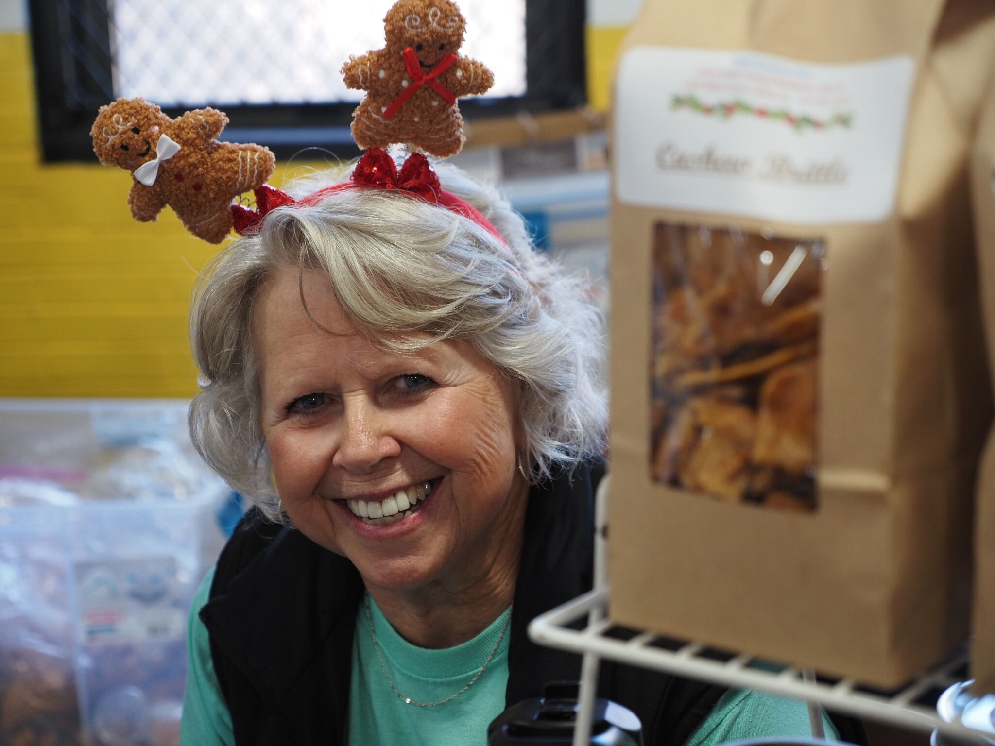 Fern stems reveal secrets of evolution – how constraints in development ...