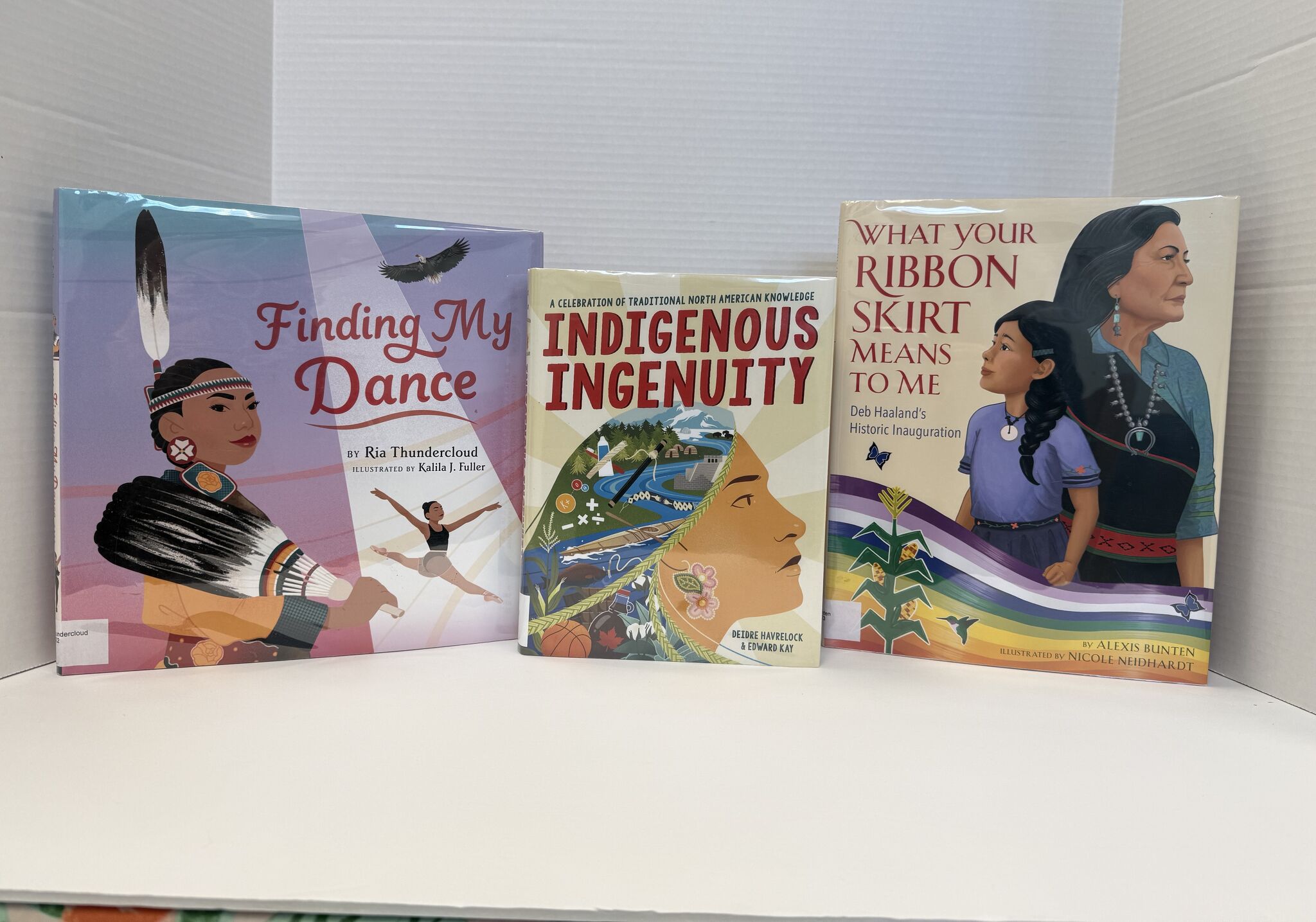 Native American Heritage Month: Explore Manistee library's list