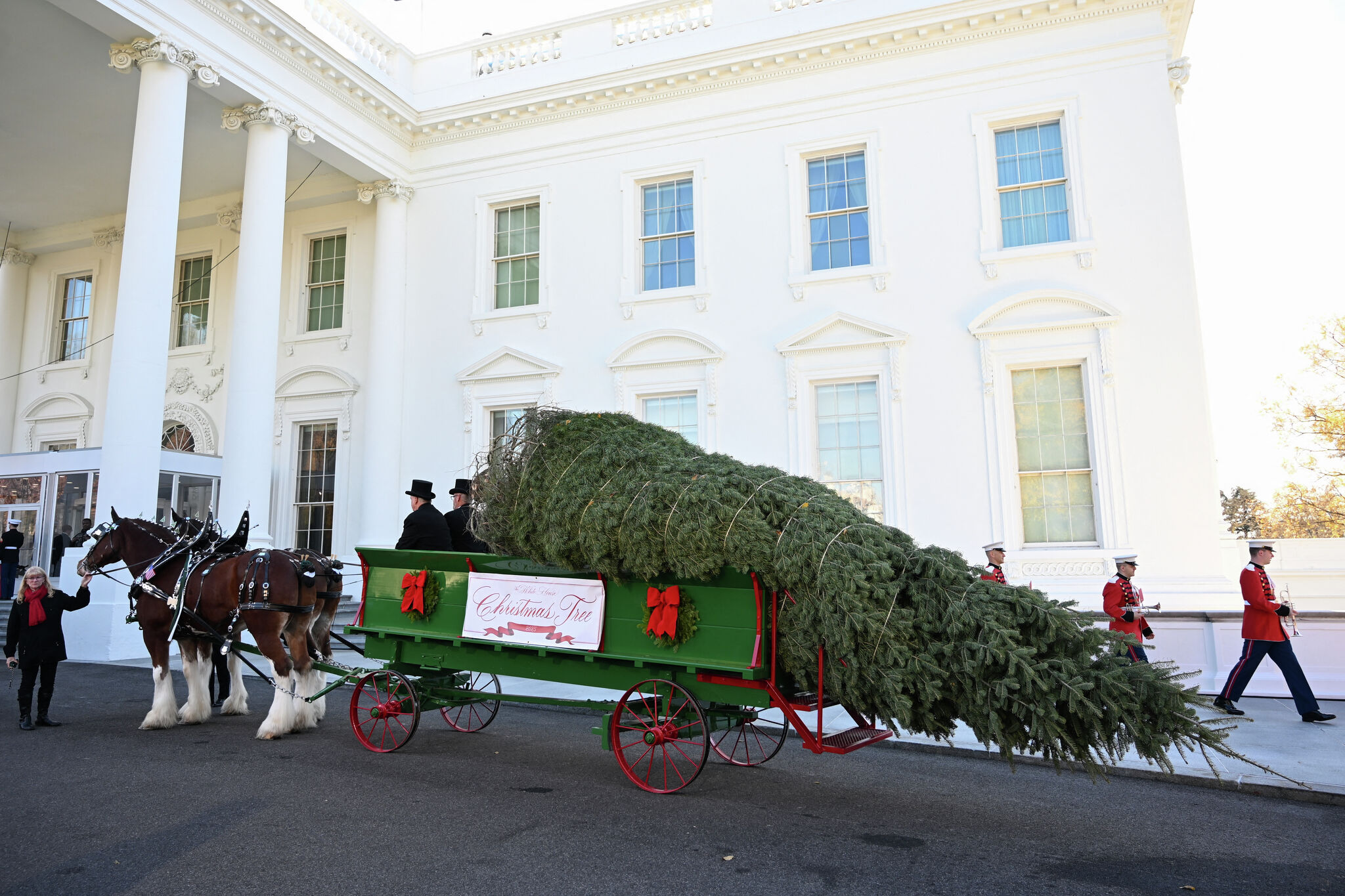 Indultos de pavos marcan ritual festivo en un momento precario para Trump