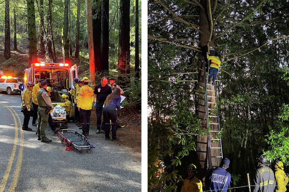 Tree rescue near UC Santa Cruz turns critical after man falls 80 feet