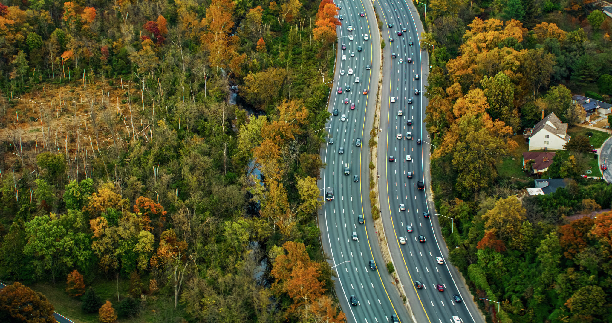 Misremembering might actually be a sign your memory is working optimally