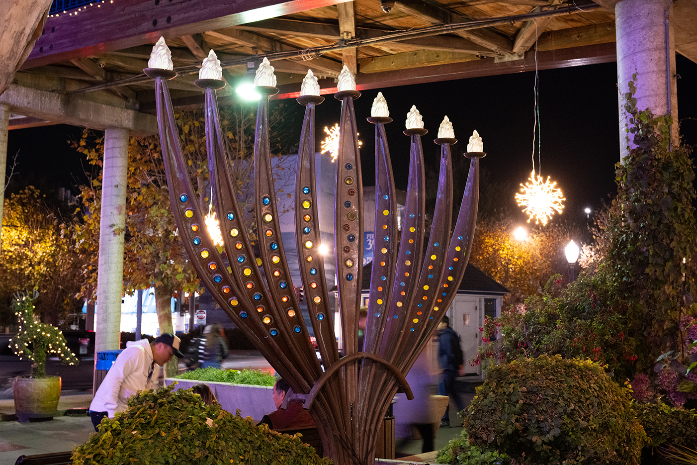 San Francisco Bay Area nightlife, events and more things to do — SFGate