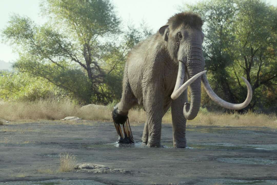 A foot-tall elephant? 'Prehistoric Planet: Ice Age' on Apple TV reveals ...