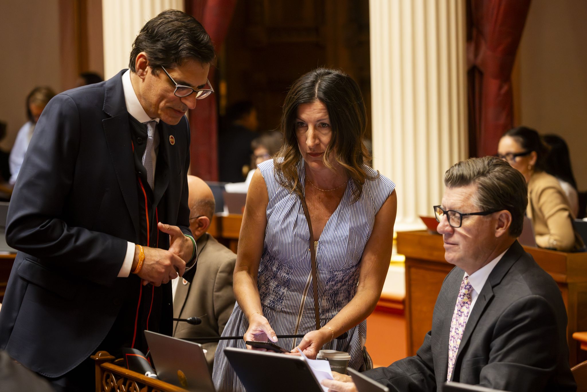 The California Legislature needs to be expanded