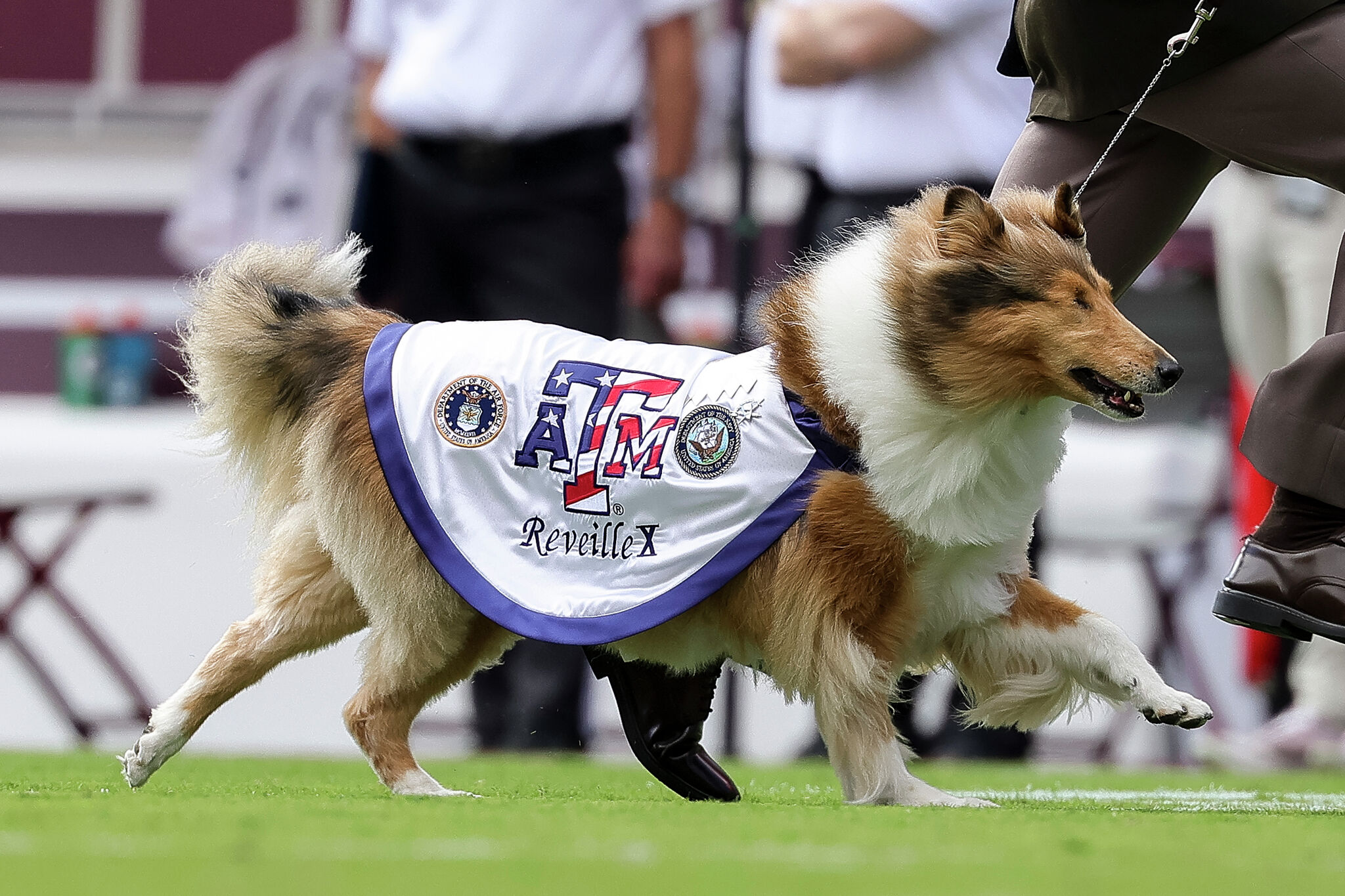 Texas gets petty with ban of Aggies' mascot Reveille