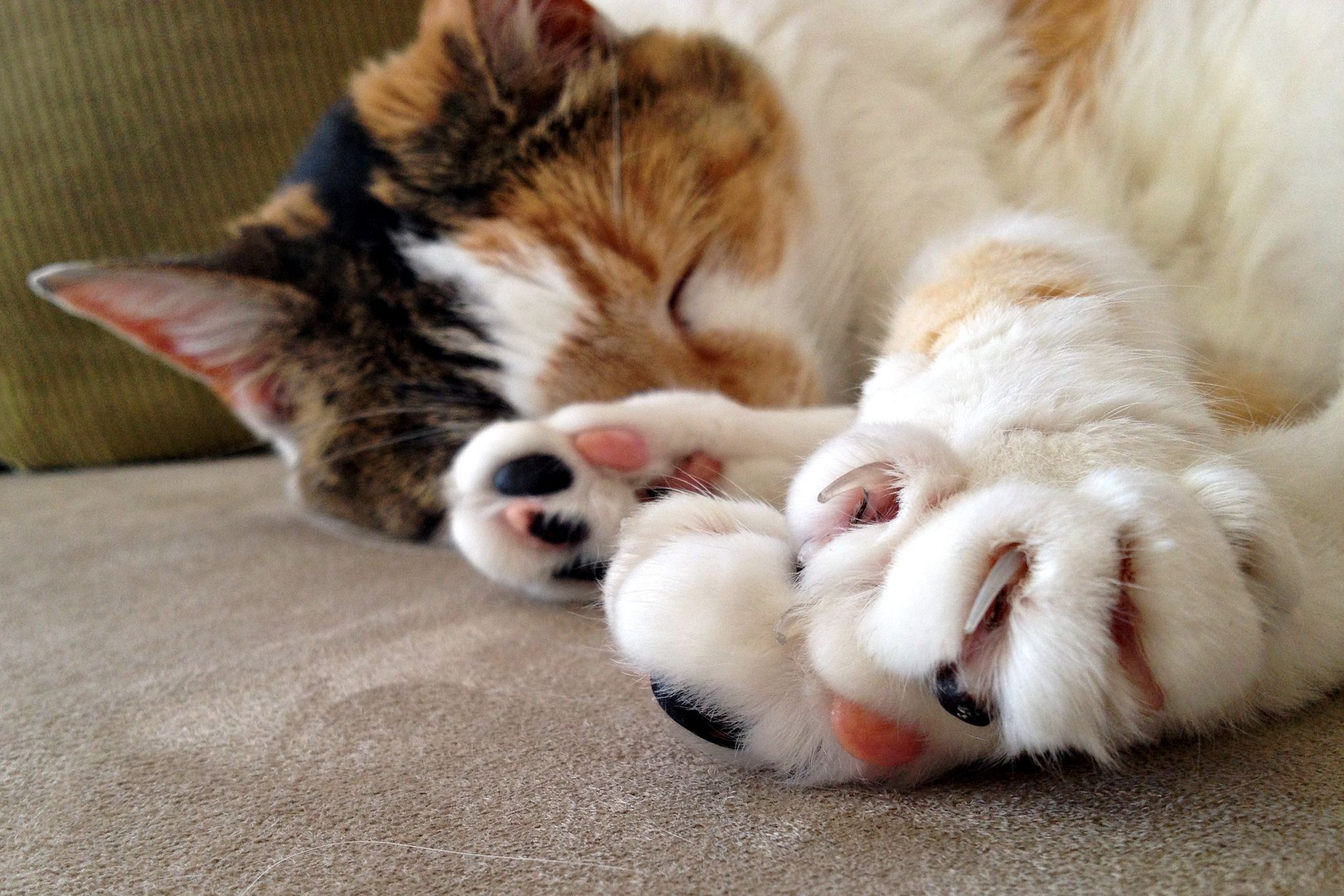 Maduro open to US talks on drug trafficking, but silent on CIA strike