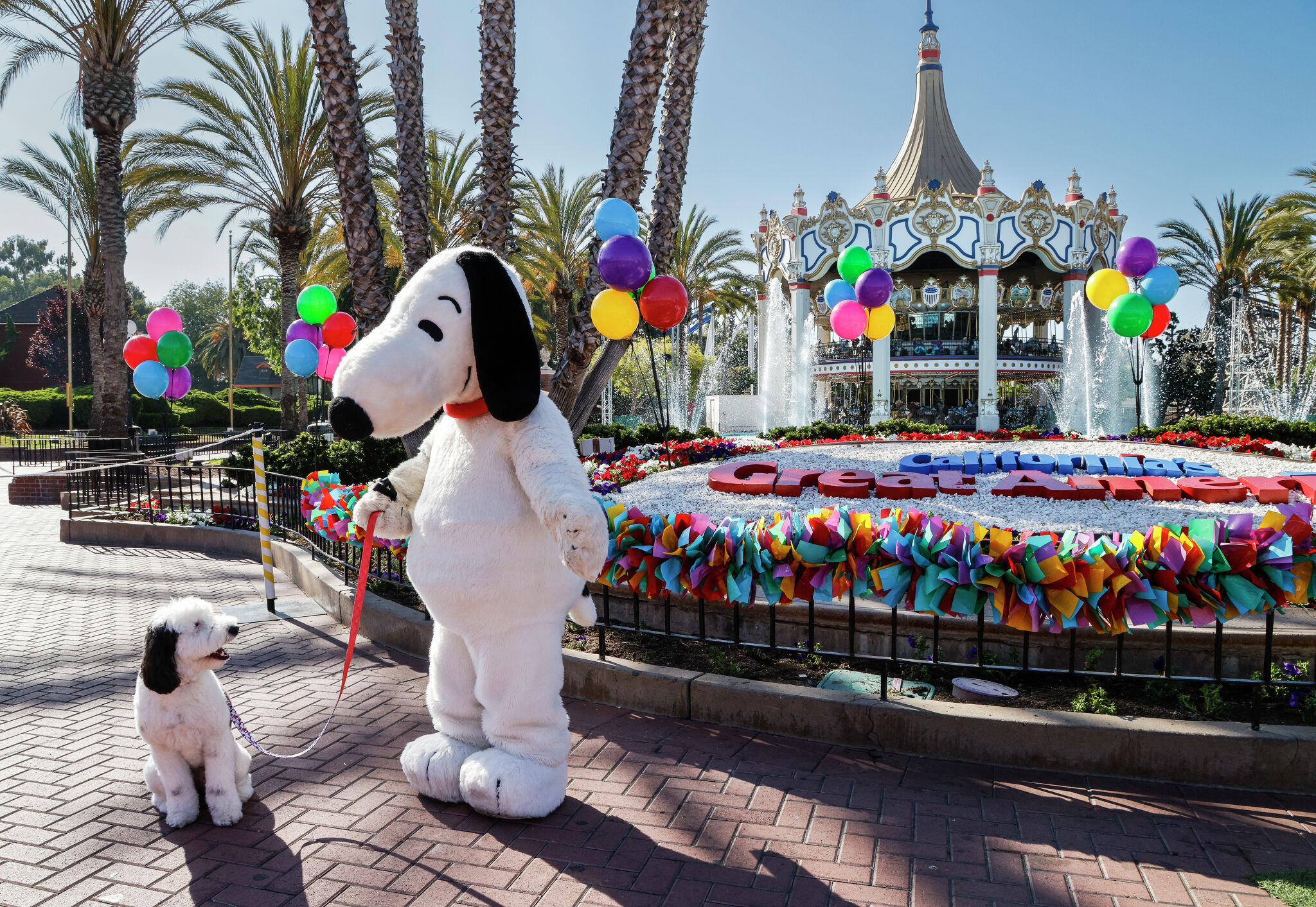 As Six Flags announces new CEO, Great America's fate in the balance