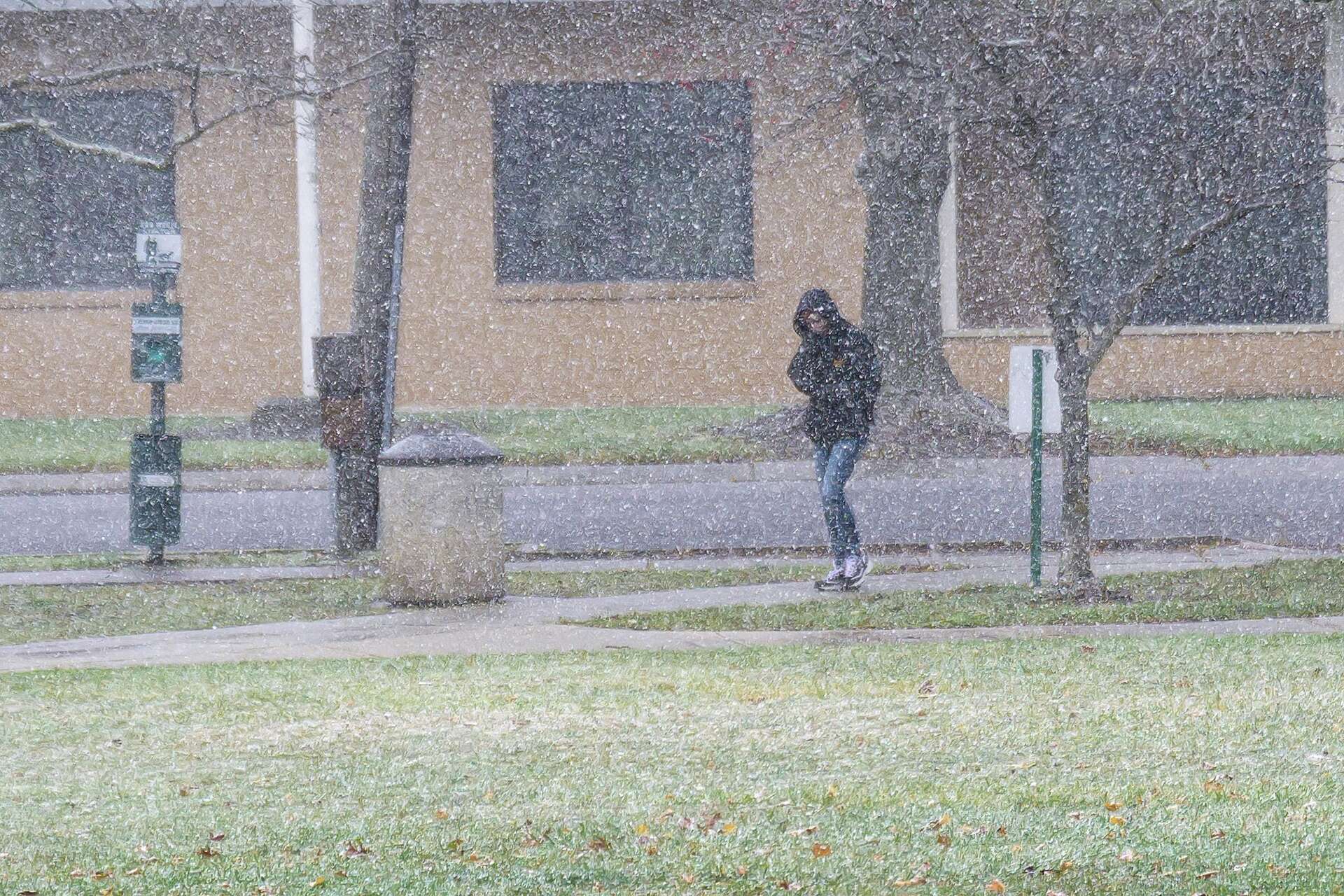 Snow, rain to move through Albany, preceding 'notable' snowfall