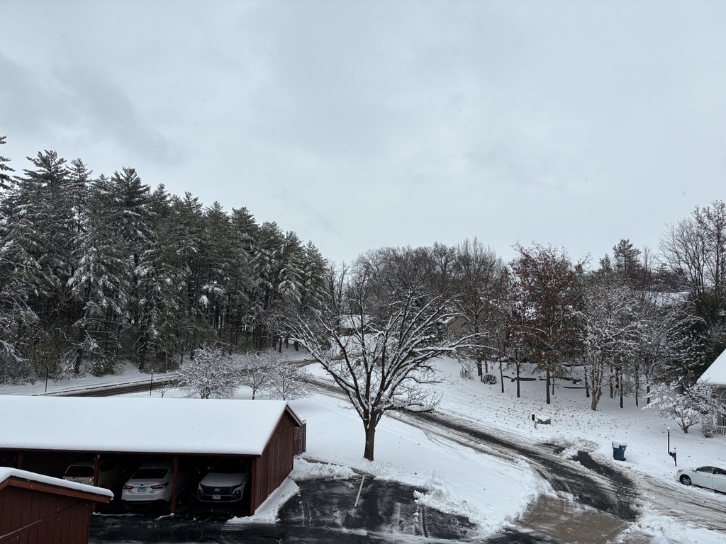 Historic November snowfall hits Edwardsville IL region
