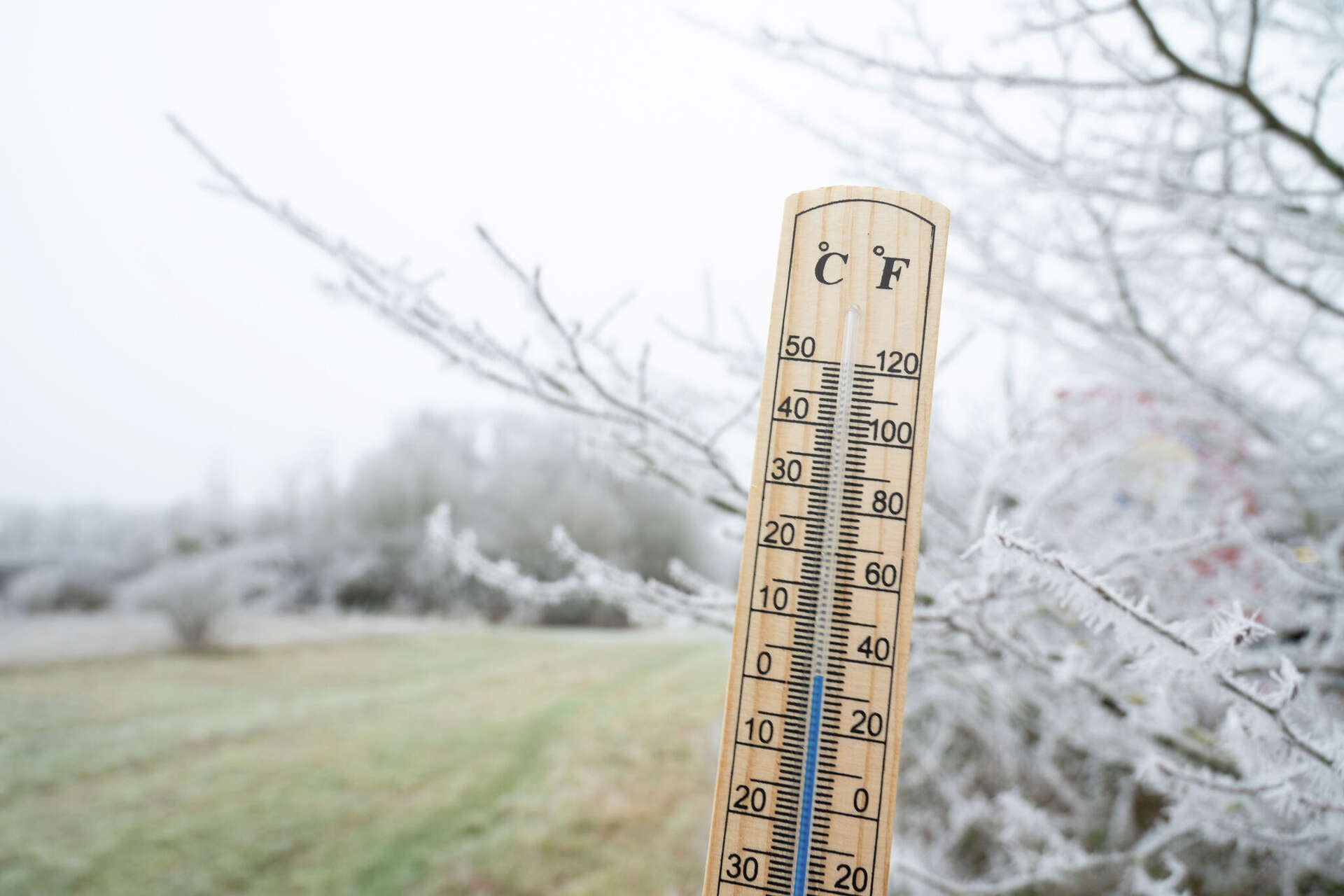 Texas can't escape winter weather, near-freezing conditions