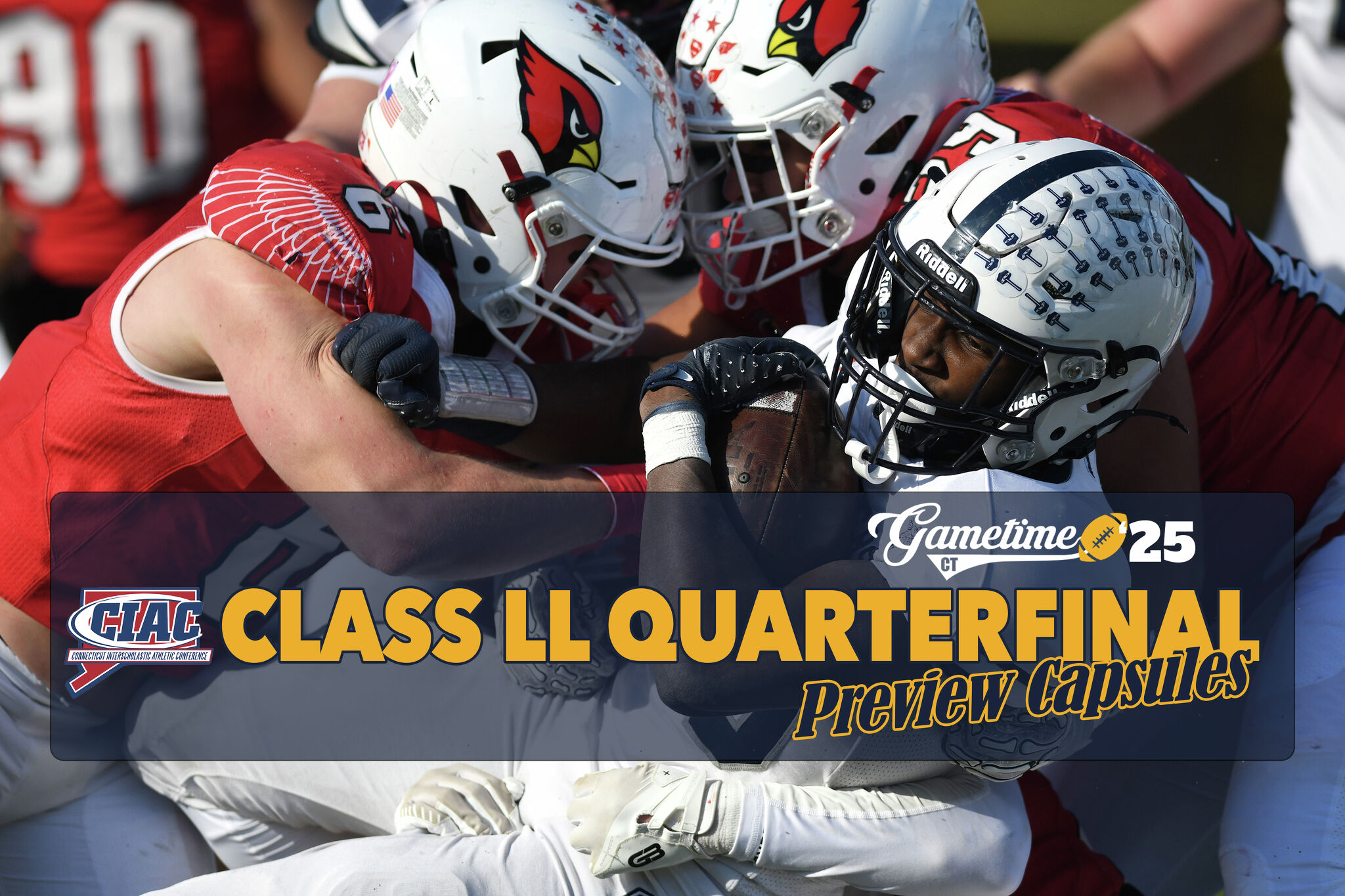 Grains mixed, livestock mixed