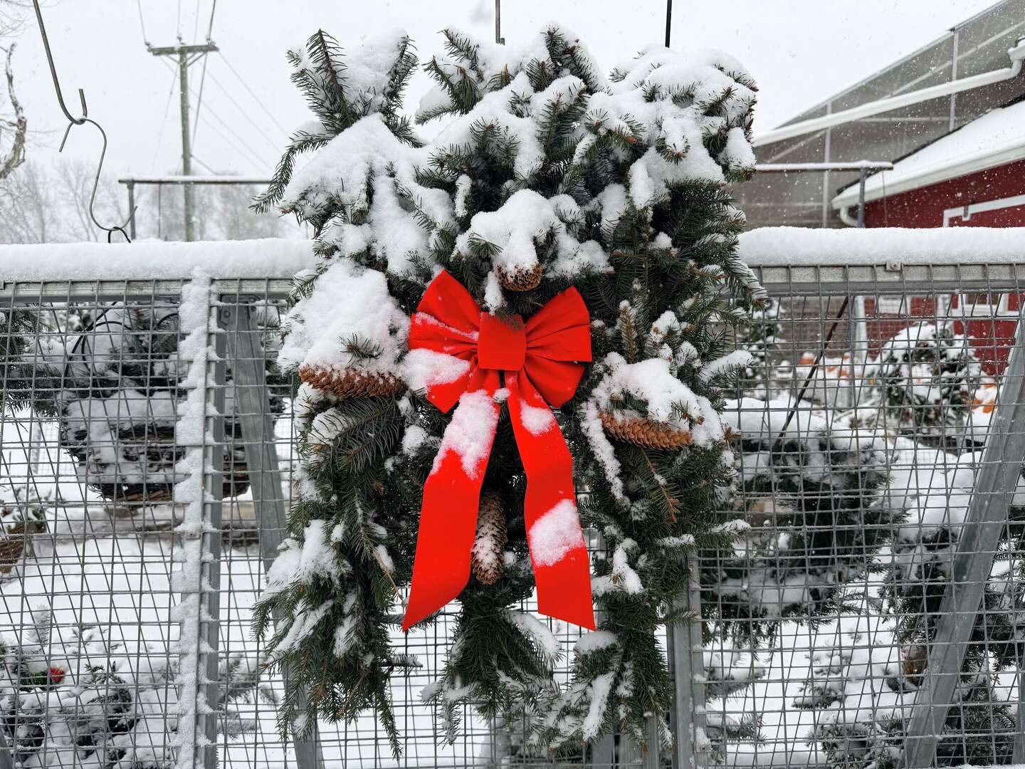 Winter storm brought up to 4 inches of snow to parts of CT: Recap