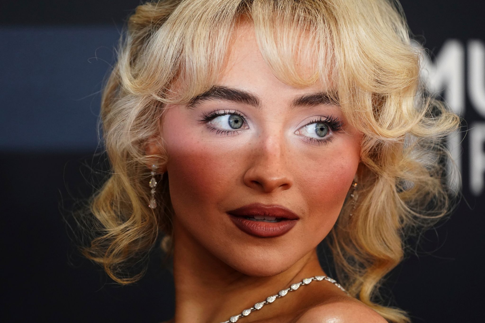 Sabrina Carpenter and Franklin the Turtle publisher condemn Trump ...