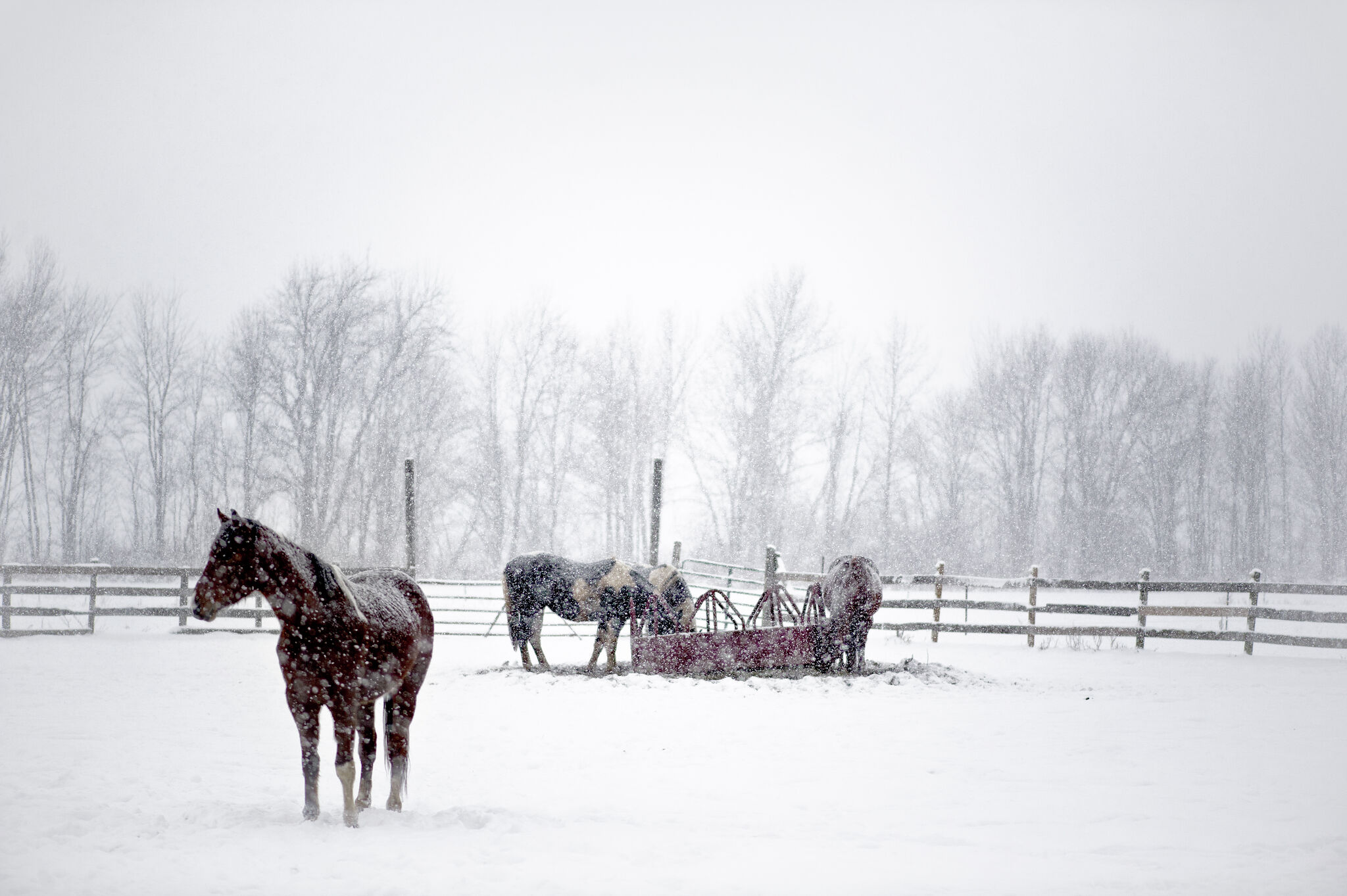 Winning numbers drawn in Tuesday’s South Carolina Pick 4 Evening