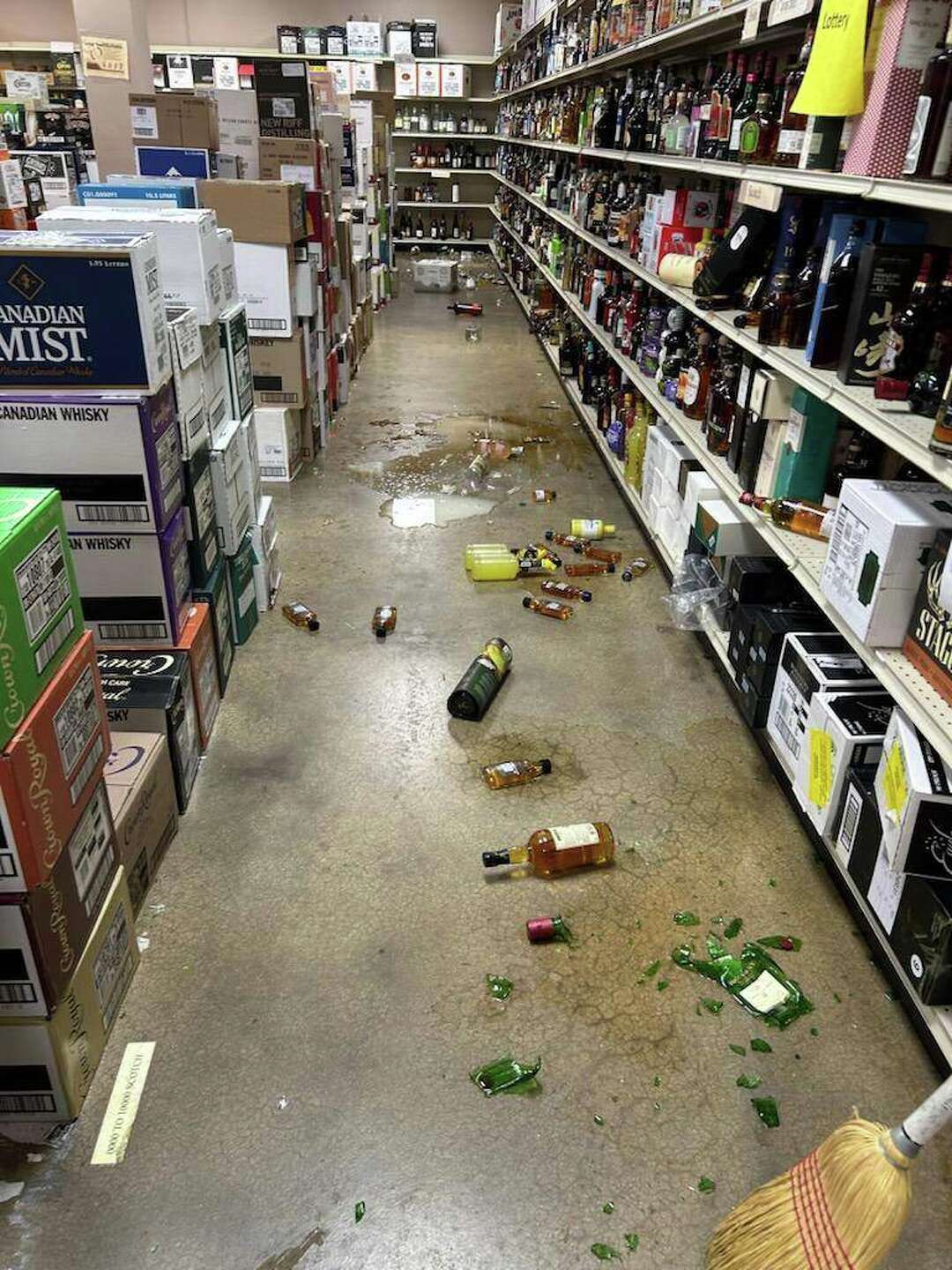 Raccoon goes on drunken rampage in Virginia liquor store and passes out ...