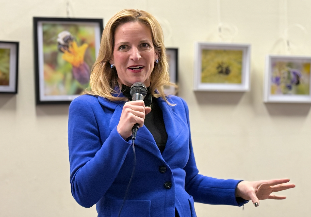 What are small modular reactors, a new type of nuclear power plant ...