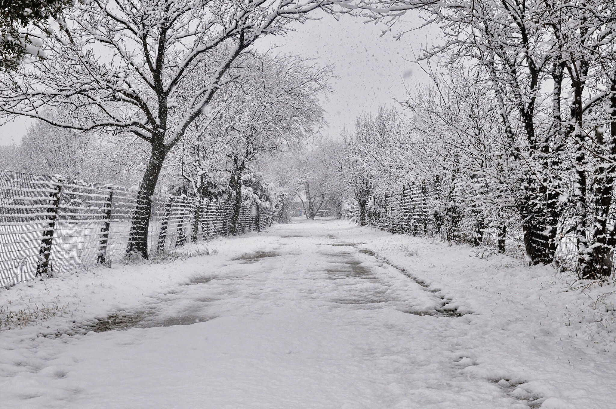 Snow in Texas: National Weather Service forecasts 2 inches in Amarillo