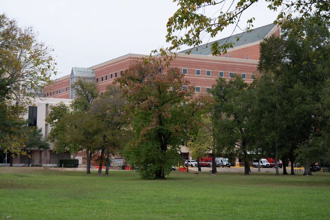 Expand Ben Taub. It's more important than a Hermann Park parking lot.