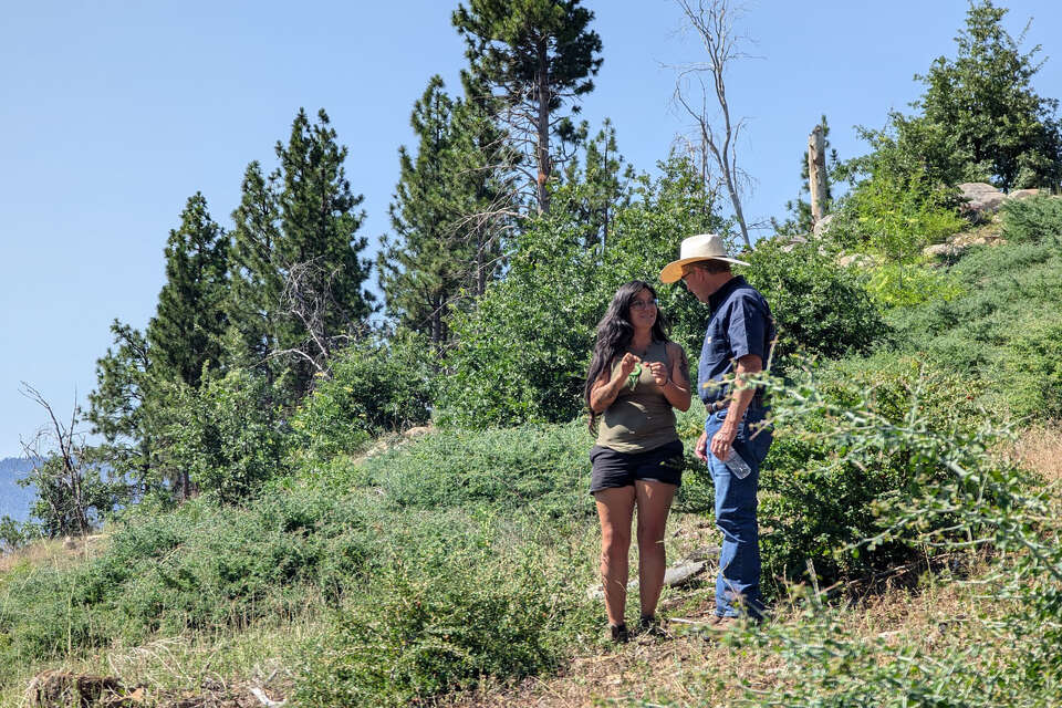 Nearly 1,000 acres near Yosemite returned to California tribe