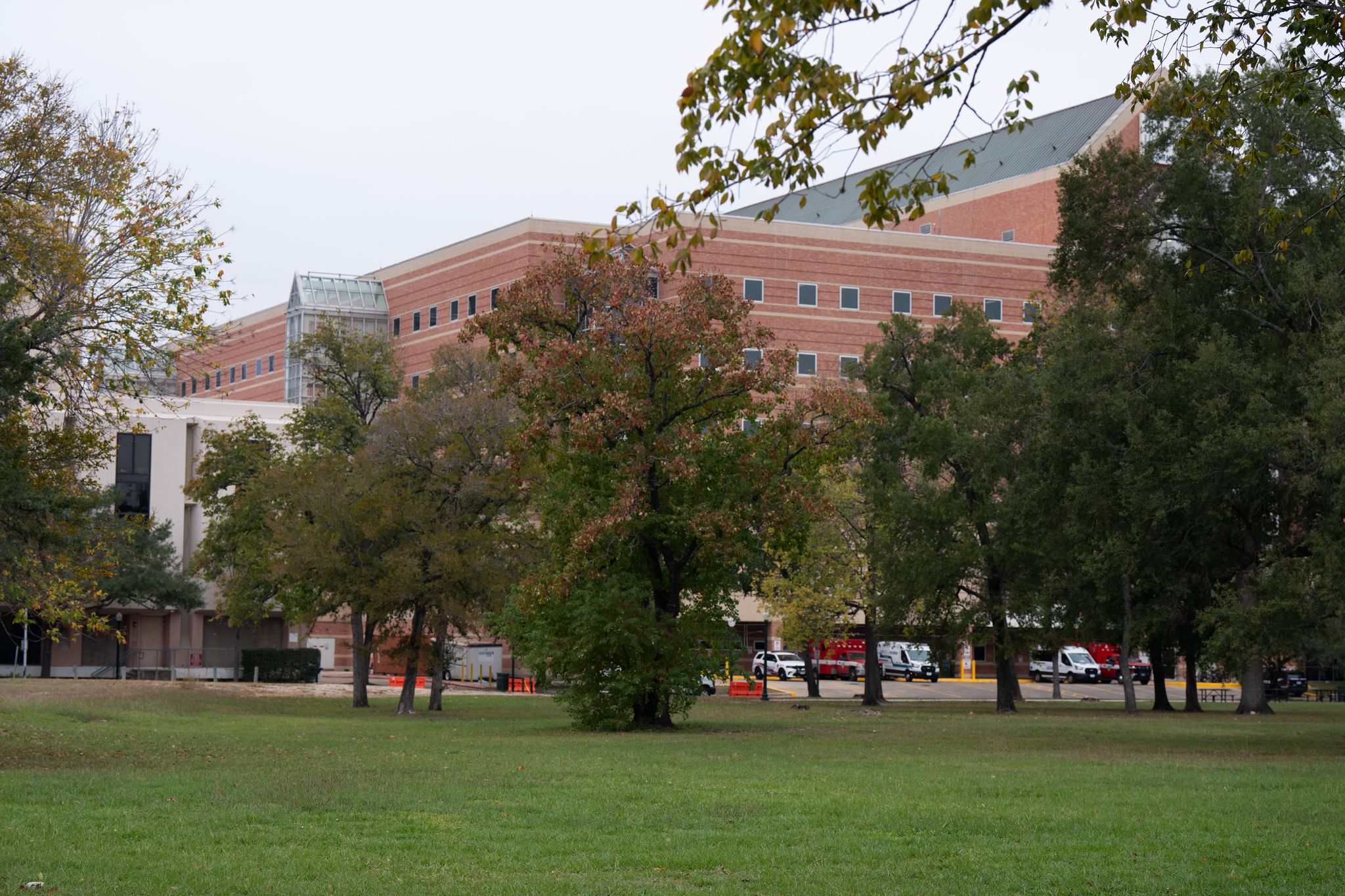 Ben Taub Hospital vs. Hermann Park? Houston deserves a win-win.