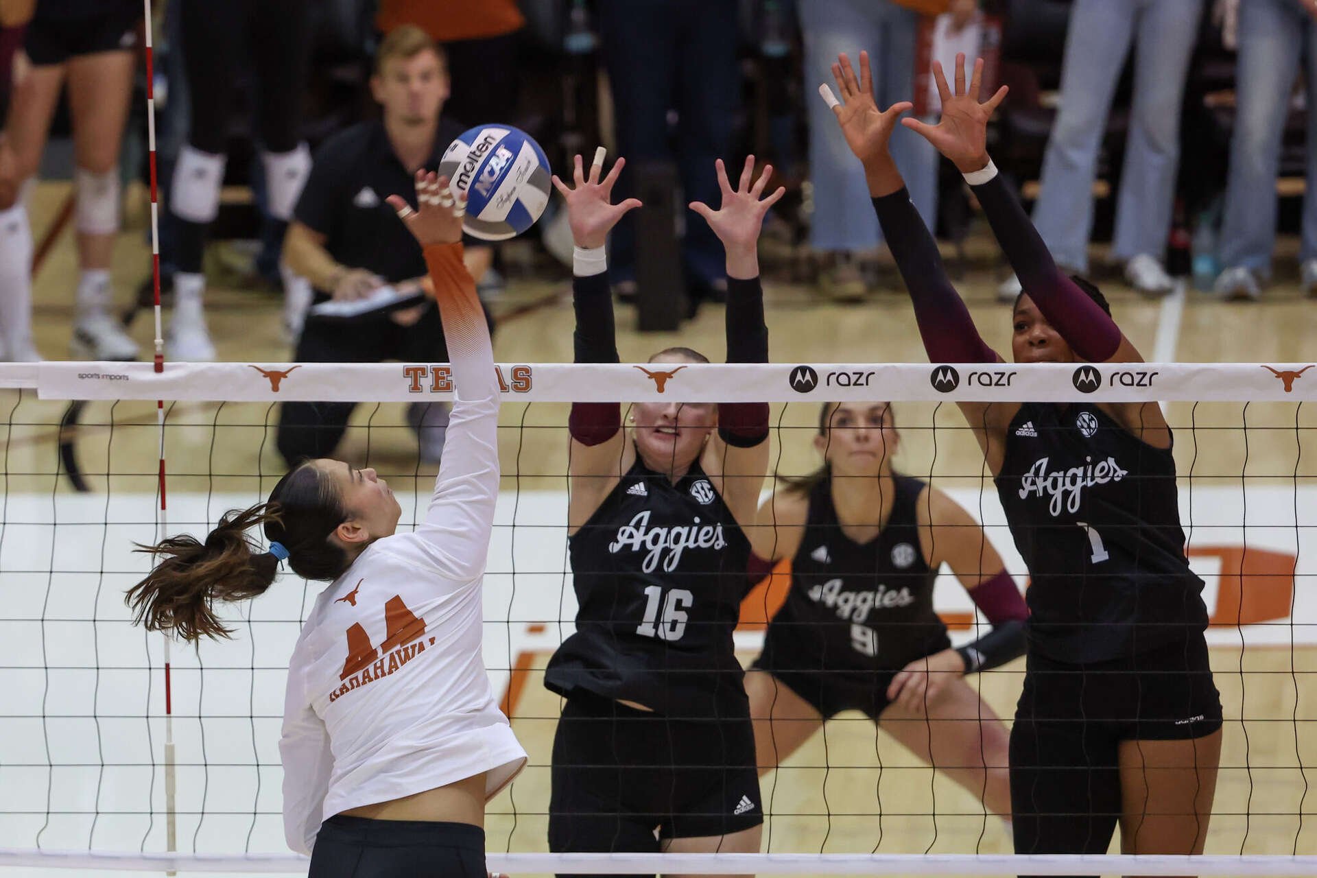 NCAA volleyball tournament dominated by Texas-based teams