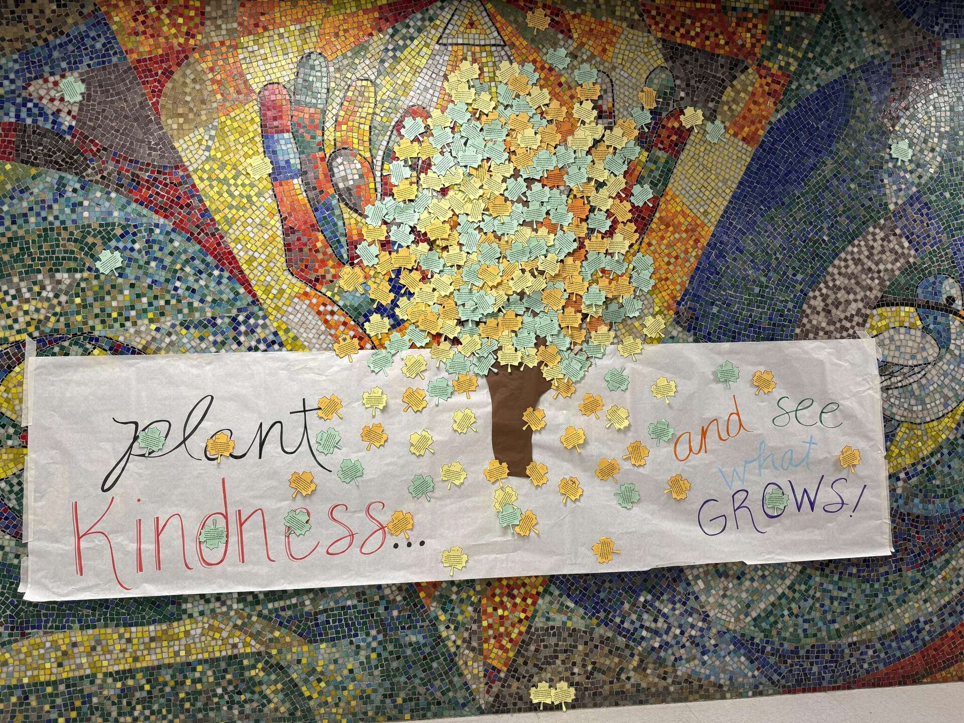 Midland Public Schools celebrate World Kindness Day