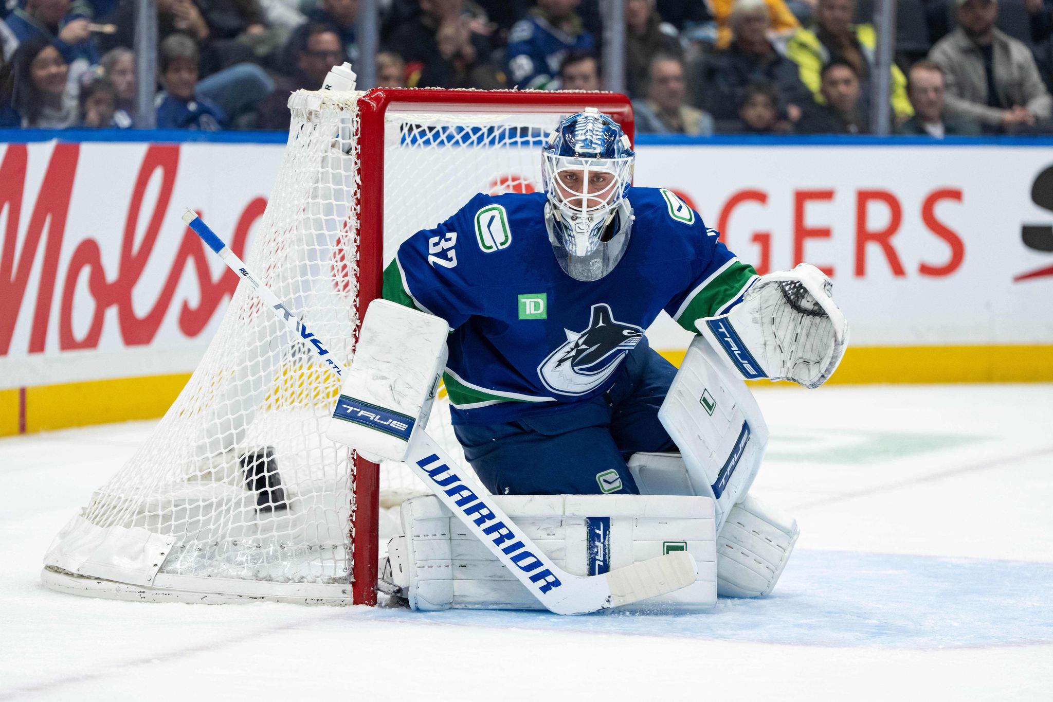 Stenlund has goal and assist as Mammoth beat Canucks 4-1