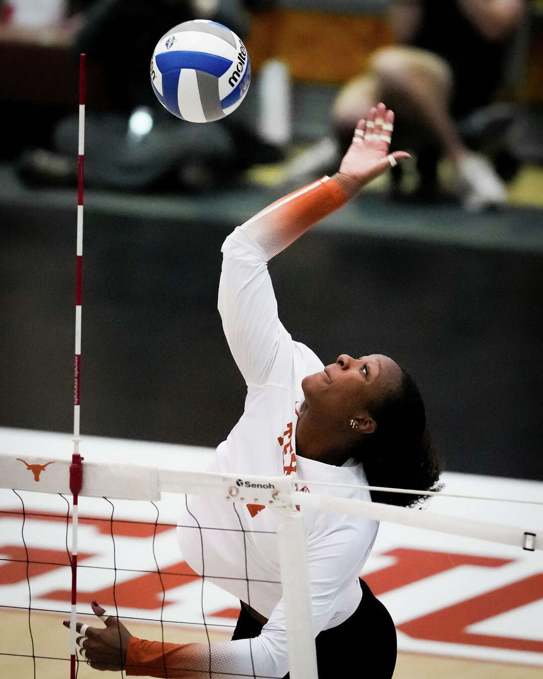 Texas vs Nebraska volleyball: Huskers, Longhorns reportedly will play