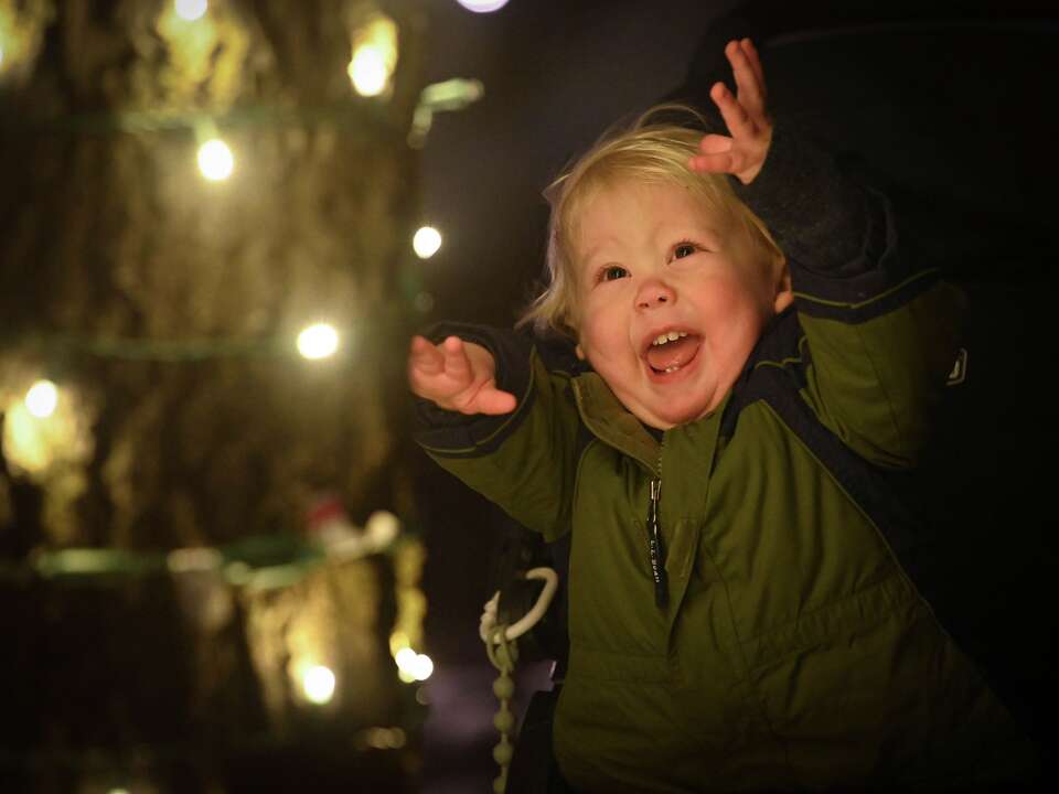Photos: New York State Tree Lighting and Firework Festival 2025