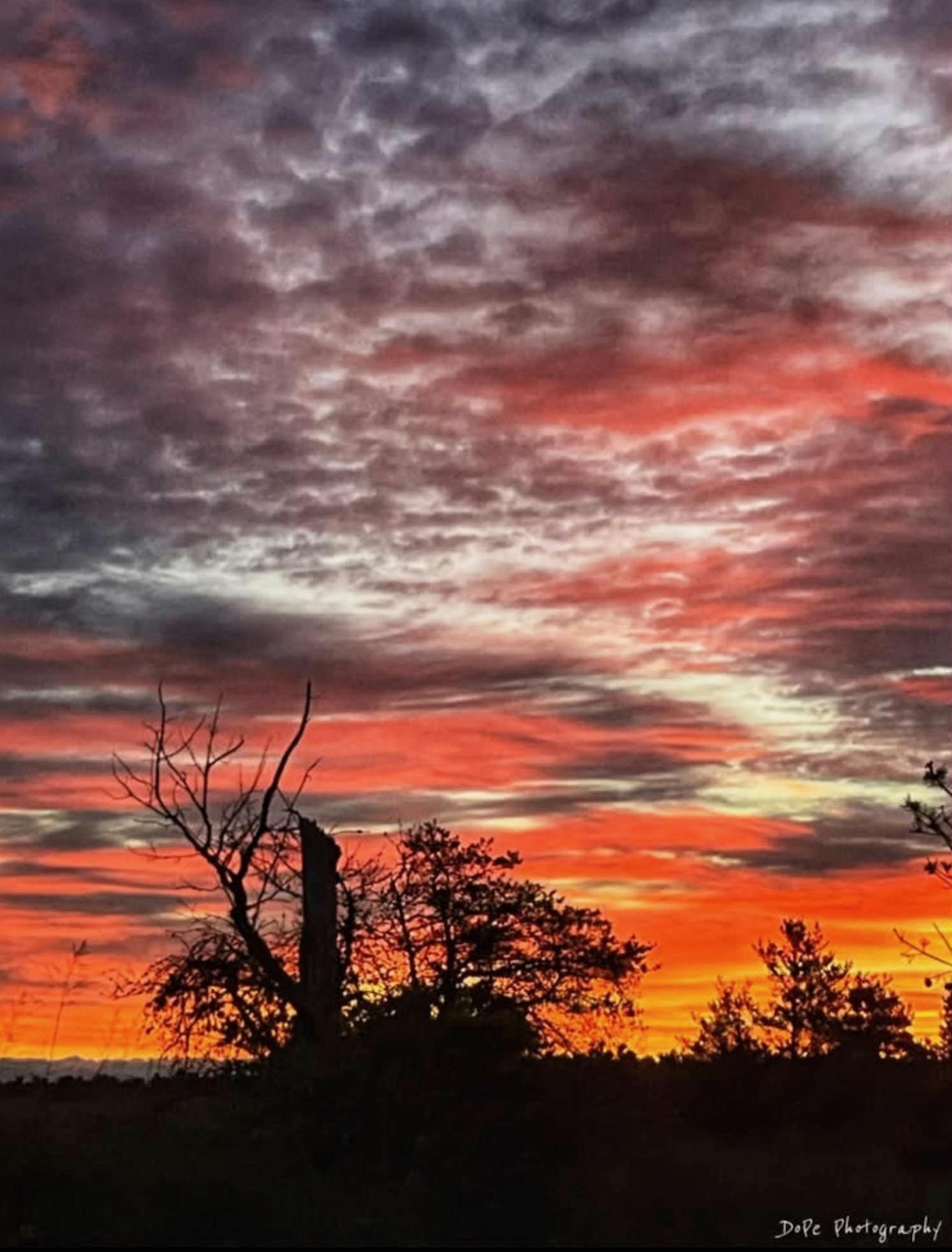 Newly discovered link between traumatic brain injury in children and ...