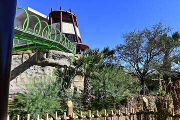 Congo Falls brings gorillas back to the San Antonio Zoo in style