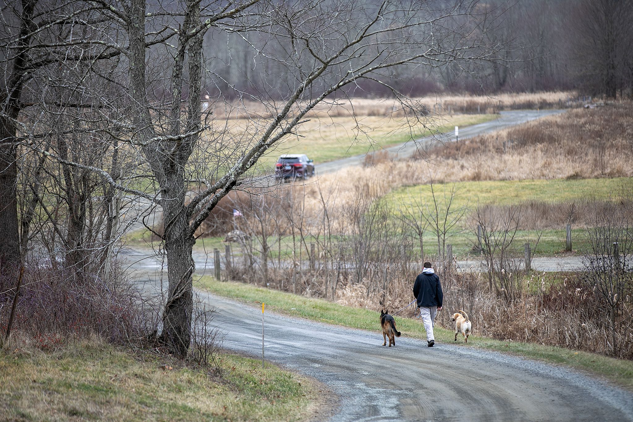 50 mph winds could cause power outages Thursday in Connecticut